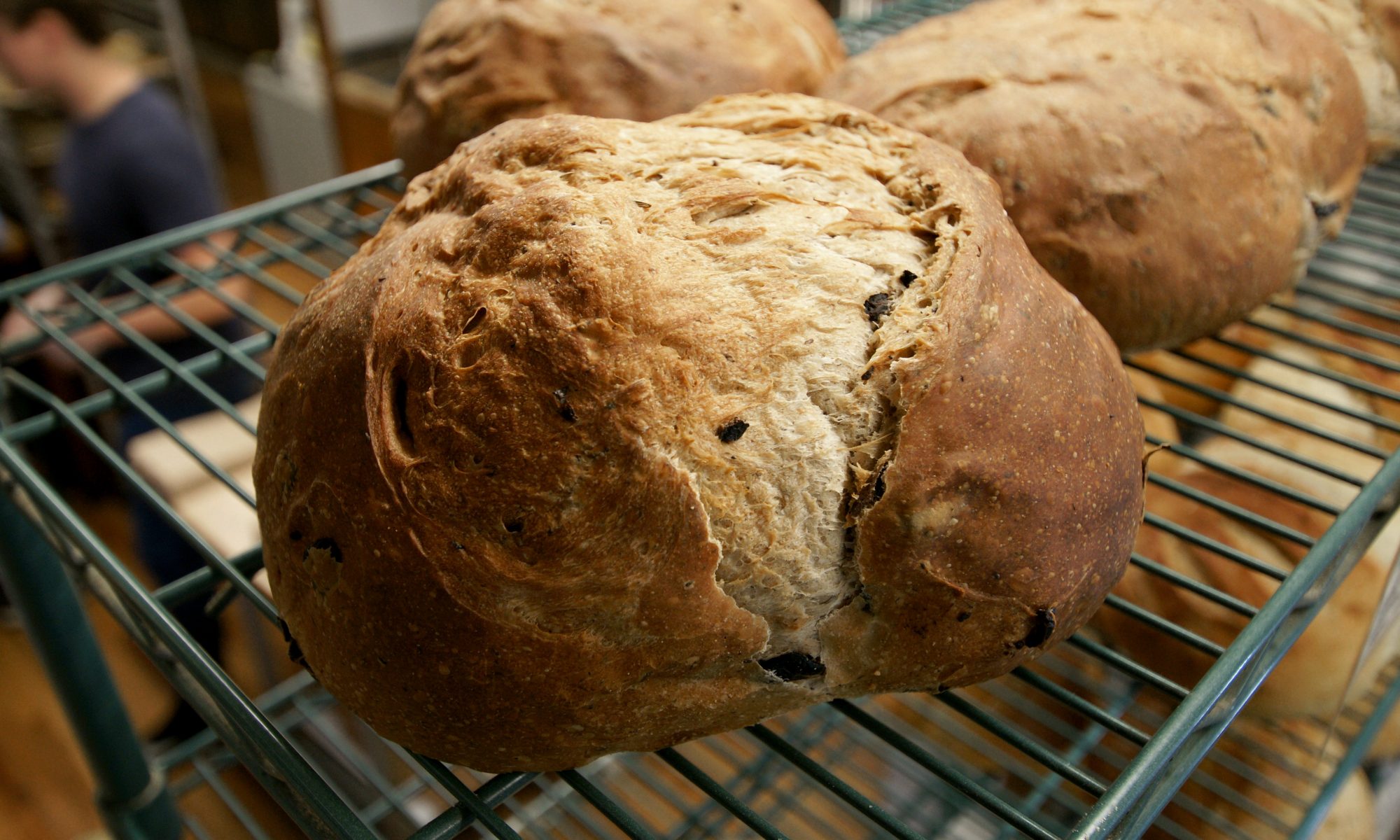 Friday, January 25th 2019 – Breadzilla